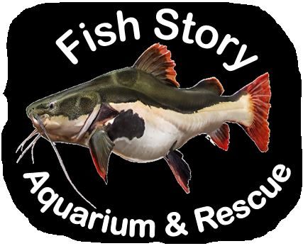 Fish Story, a DIY Aquarium Attraction & Fish Rescue – Every fish has a ...